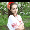 VEET Восковые полоски Expert для чувствительной кожи, 12 шт. купить на ...