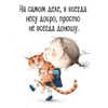 Кеды Женский PUMA, размер 39 Еврозима Шнурки купить c доставкой на OZON ...