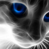 Зонт DOLPHIN, 3 сложения, бирюзовый купить c доставкой на OZON по ...