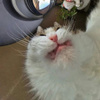 DSPIAE AT-MPB мини фото травления PE частей гибкие тиски ручной ...