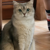 3D Фигурка Лулу (Lulu) из Final Fantasy X - Коллекционная модель 150 мм ...