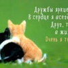 Подарочный набор папе, подарок на день рождения купить на OZON по ...