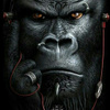 Переключатели Intruder купить на OZON по низкой цене (1935040255)