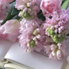 Чернила INKO 019daee08c357697bda409018bc76ac5, Набор CMYK, для ...