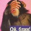 Кольцо 041-045-2,0 (41-2 мм) уплотнительное резиновое, 5 штук. купить ...