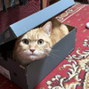 Кеды Мужской, Женский PUMA Искусственная кожа, размер 43 На любой сезон ...