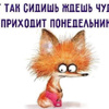Носки Babushka, 1 пара, мужские, для бега, беговые, с логотипом ...