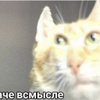 Трусы Мужской Jockmail джоки Хлопок, Спандекс белый, размер 46 Средняя ...