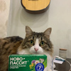 Кеды Женский T.TACCARDI Текстиль, Экокожа, размер 39 G Демисезон Шнурки ...