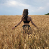 Петли дверные скрытые AGB ECLIPSE 3.0 E302000234 (с накладками) 2шт, Матовый хром купить на OZON ...