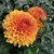Комплект одежды Женский Boom Club Повседневный брючный, двойка ...