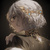 Полный рабочий день BJD Кукла для слепых коробок купить на OZON по ...