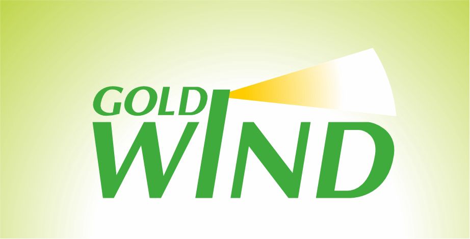 Gold Wind купить товары из официального сайта каталога на OZON ...