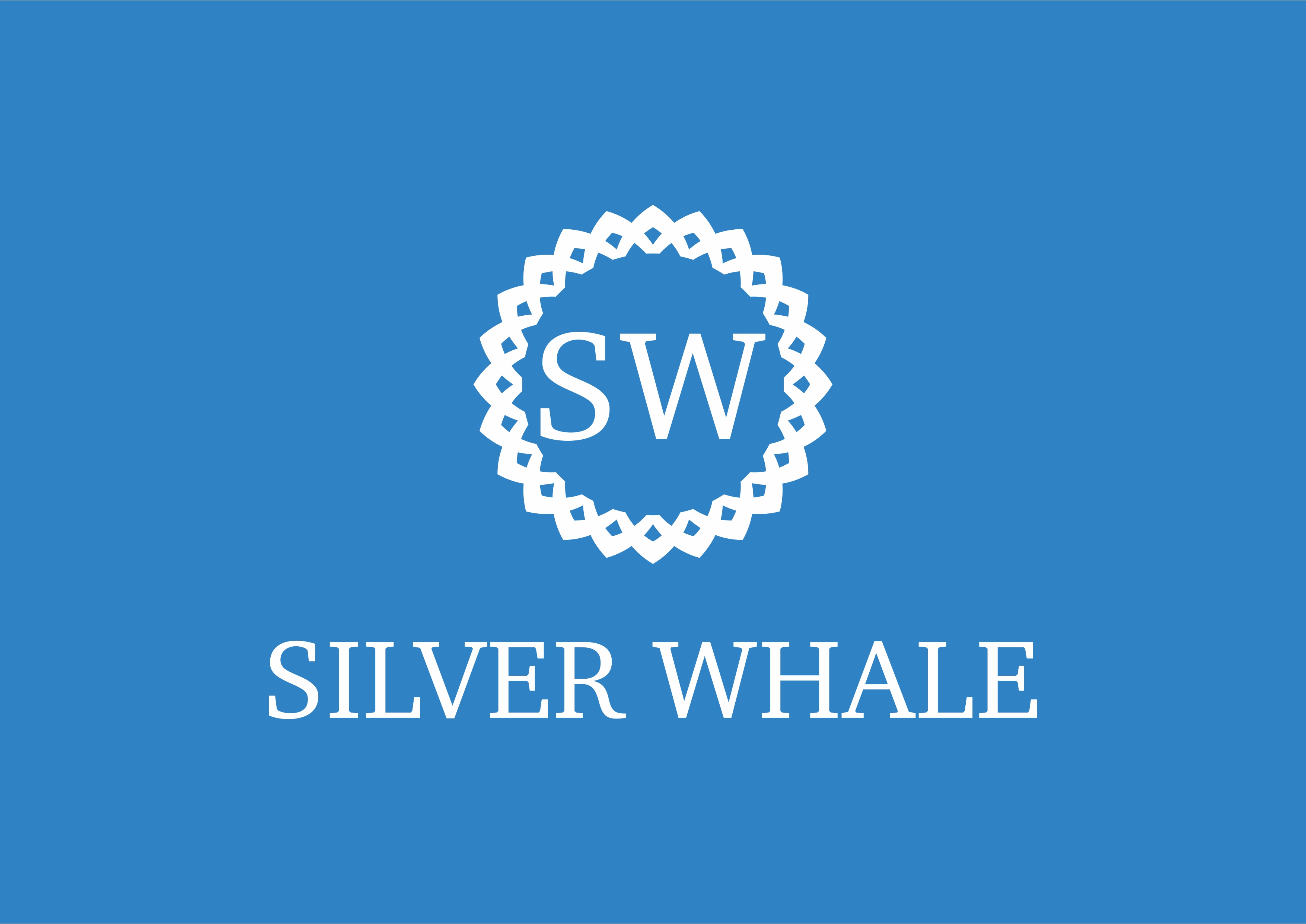 SILVER WHALE — купить товары SILVER WHALE на OZON