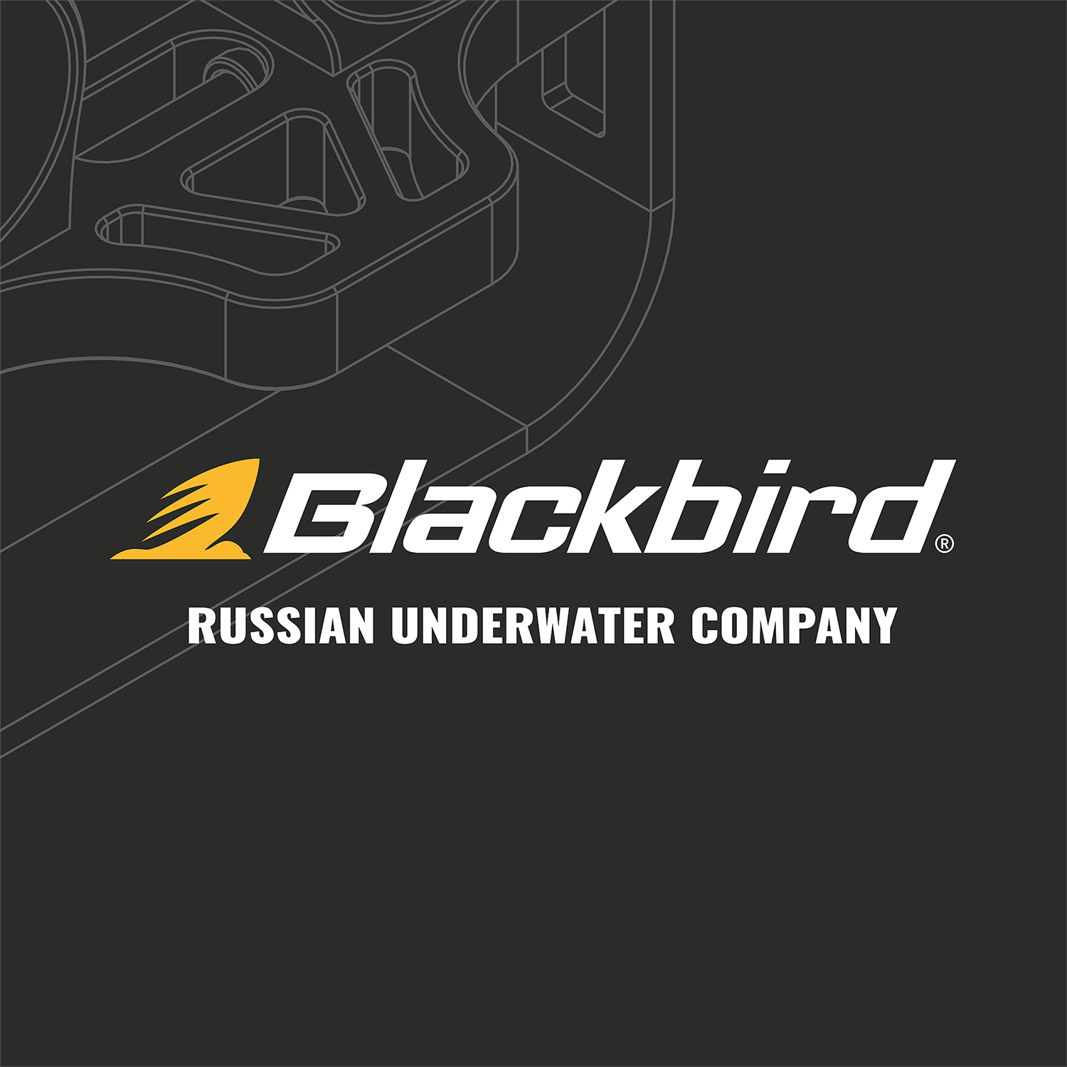 BLACKBIRD — купить товары BLACKBIRD на OZON