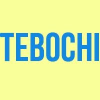 TEBOCHI купить товары из официального сайта каталога на OZON, интернет ...