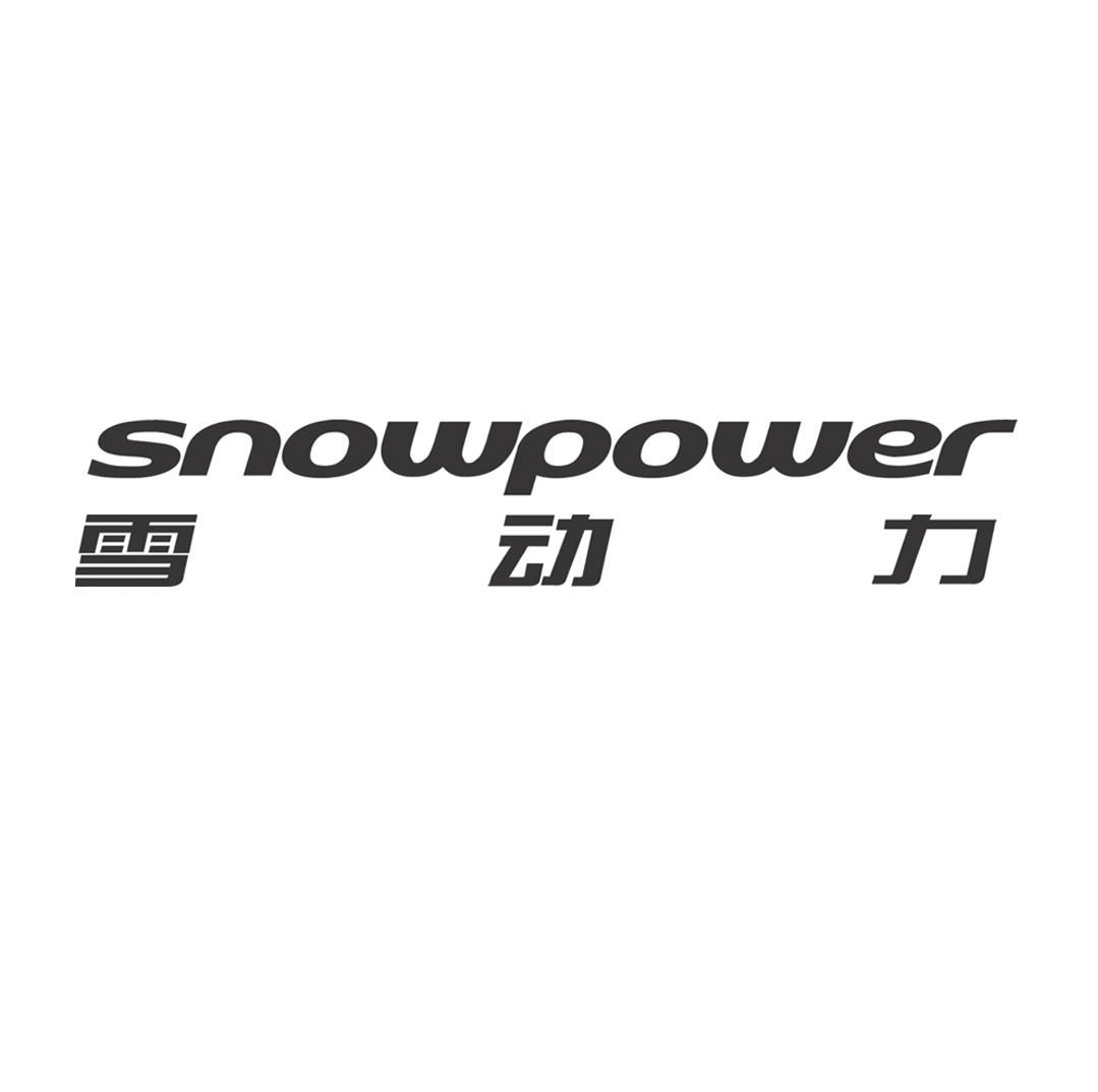 SNOWPOWER - купить товары из каталога SNOWPOWER на OZON