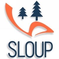 SLOUP — купить товары SLOUP на OZON