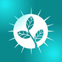ФЛОРБИ купить товары из официального сайта каталога на OZON, интернет ...