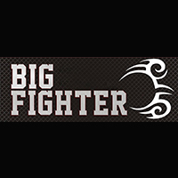 BIG FIGHTER купить товары из официального сайта каталога на OZON ...