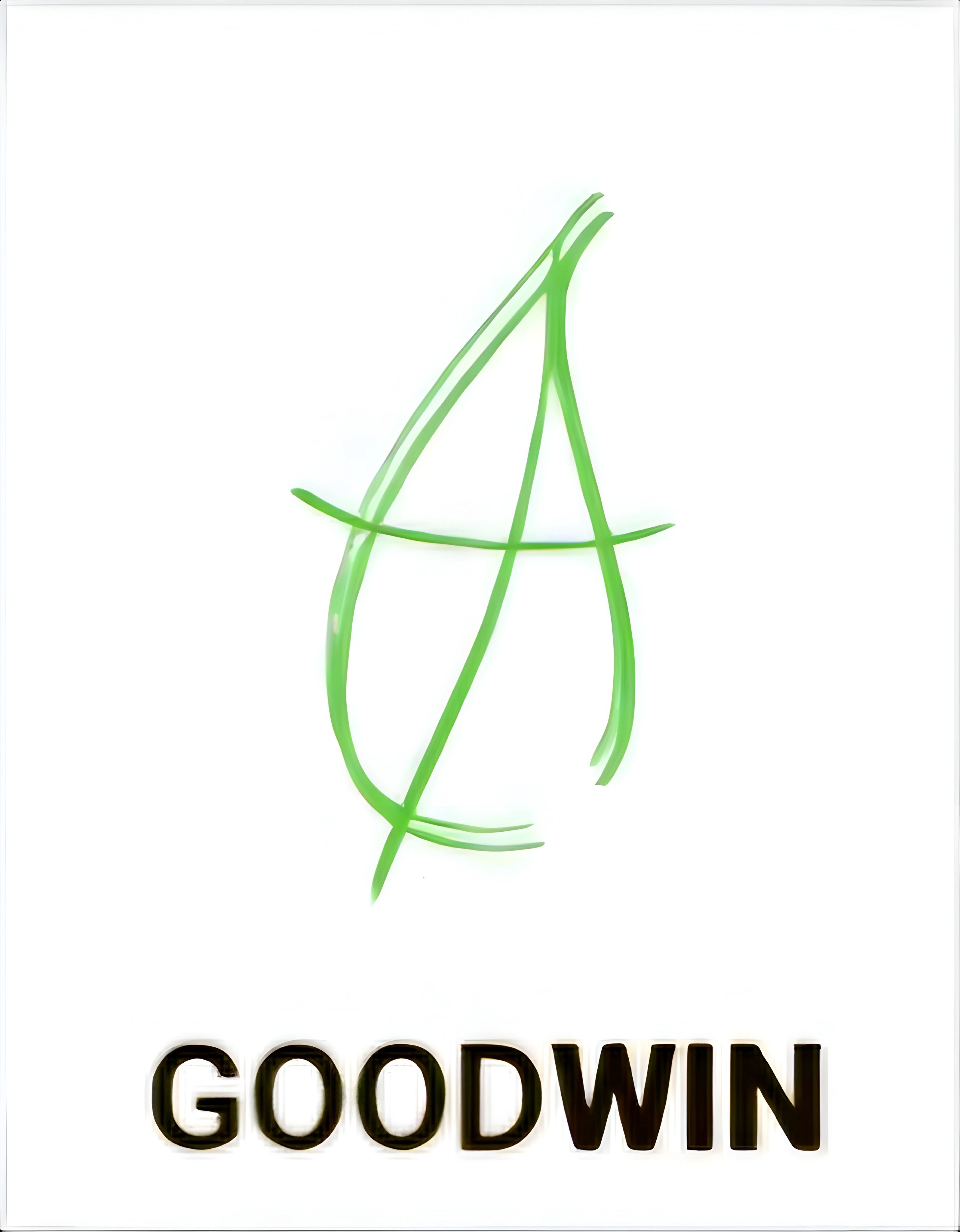 GoodWin — купить товары GoodWin на OZON