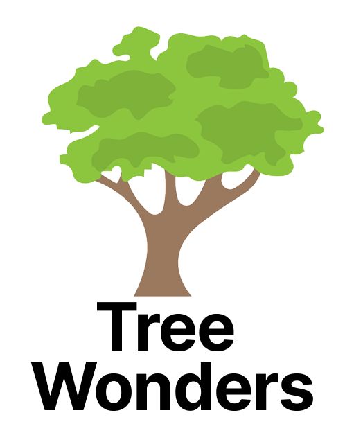 Tree Wonders — купить товары Tree Wonders на OZON