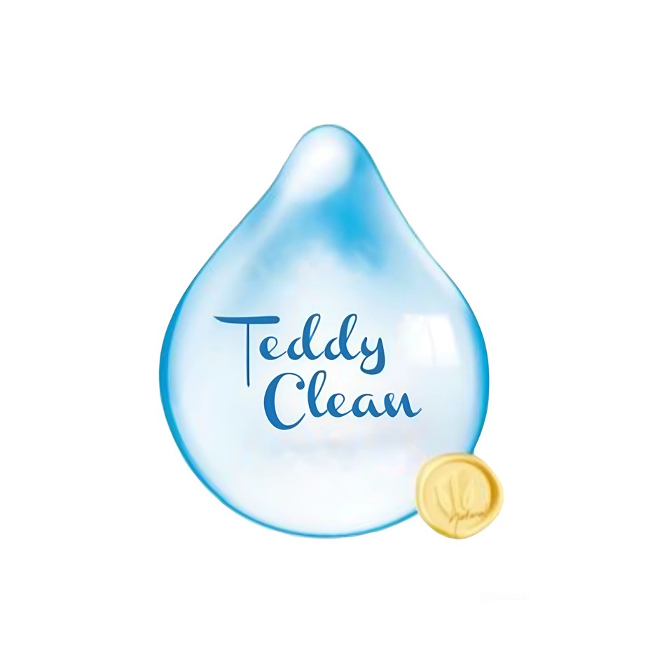 Teddy Clean — купить товары Teddy Clean в интернет-магазине OZON