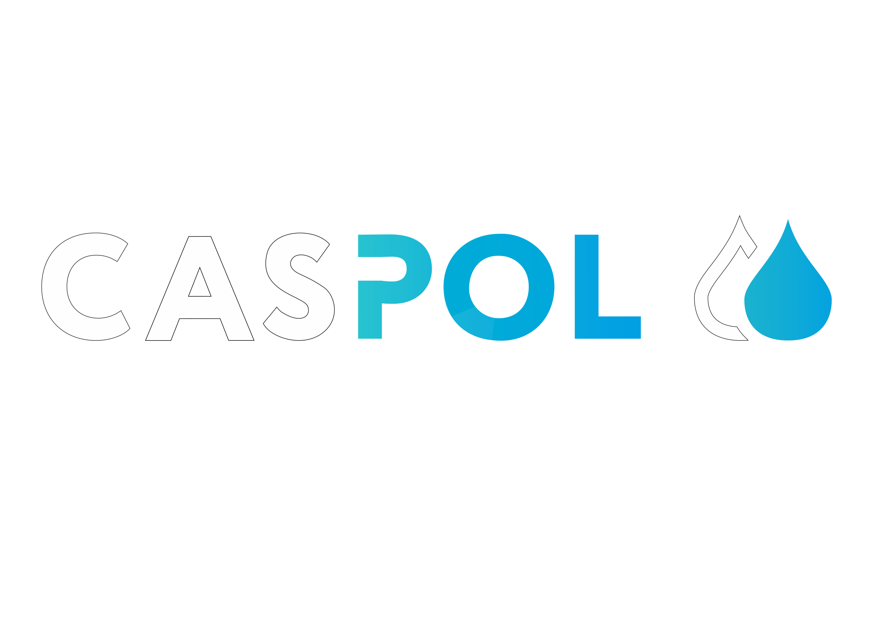 Caspol — купить товары Caspol в интернет-магазине OZON