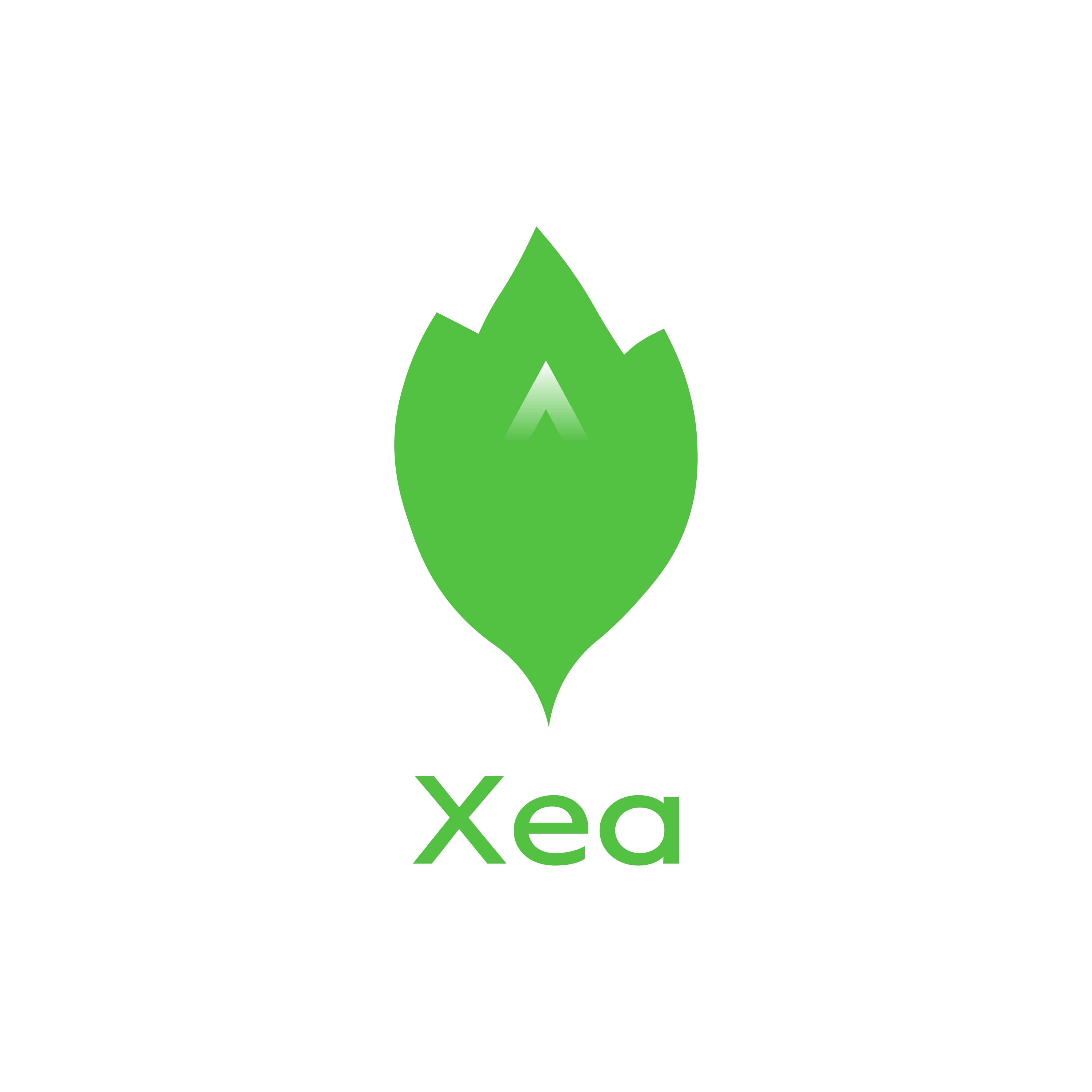 Xea — купить товары Xea на OZON