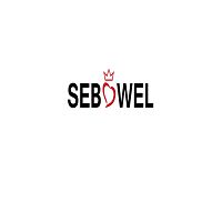 SEBOWEL купить товары из официального сайта каталога на OZON, интернет ...